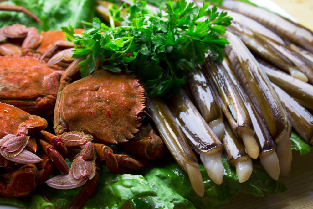 Razor Clam Season in Ocean Shores: Best Spots for Clamming